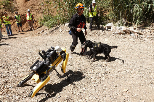 Robots de rescate participan en un ejercicio práctico con perros ...