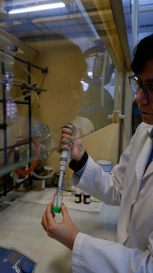 Diseñan nanocápsulas solubles y ‘a la carta’ que facilitan la absorción ...