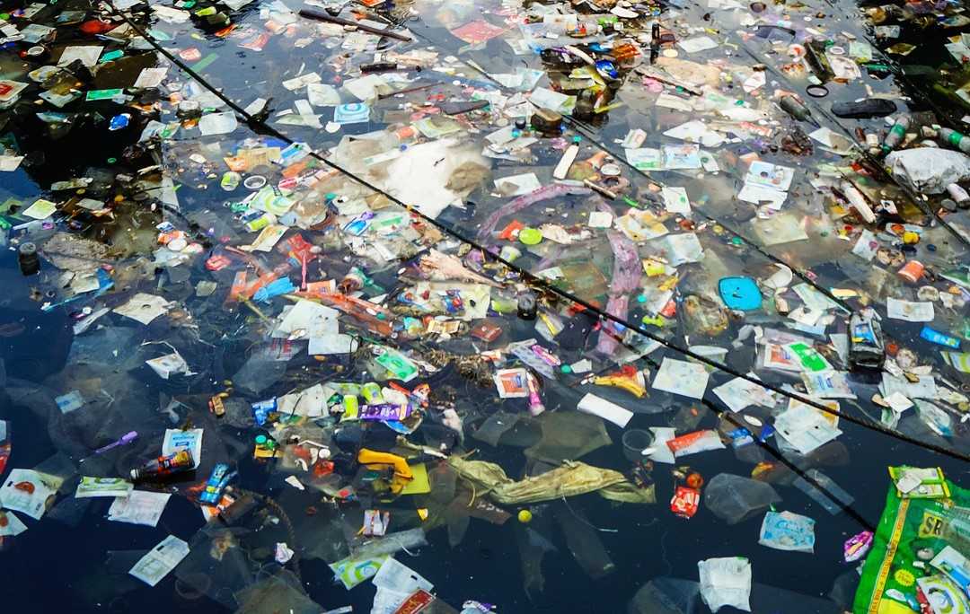 Bajo la lupa: el alcance global de los microplásticos