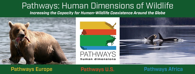 - Fundación Descubre Pathways Europe 2024